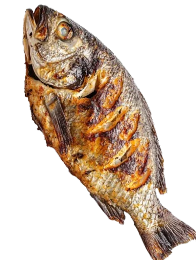 Boneless fish fillet – Aqua Bites